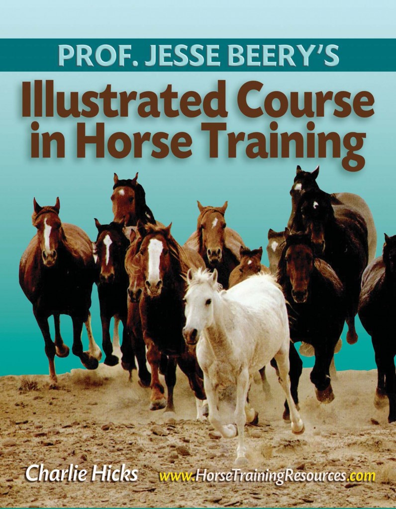 Horse Training: It’s All About The Concepts | Horse Training Videos ...